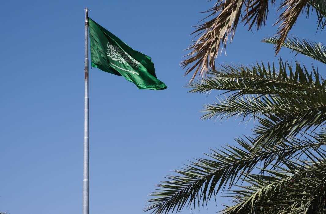 السعودية تطلق وحدتين لدعم التحول الكهربائي والذكاء الاصطناعي ...